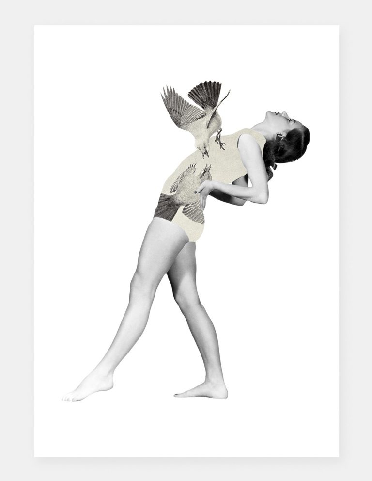 הדפס Bird of Prey - Collage-Art, פרינטים - הדפסי אמנות, תמונות לבית ...